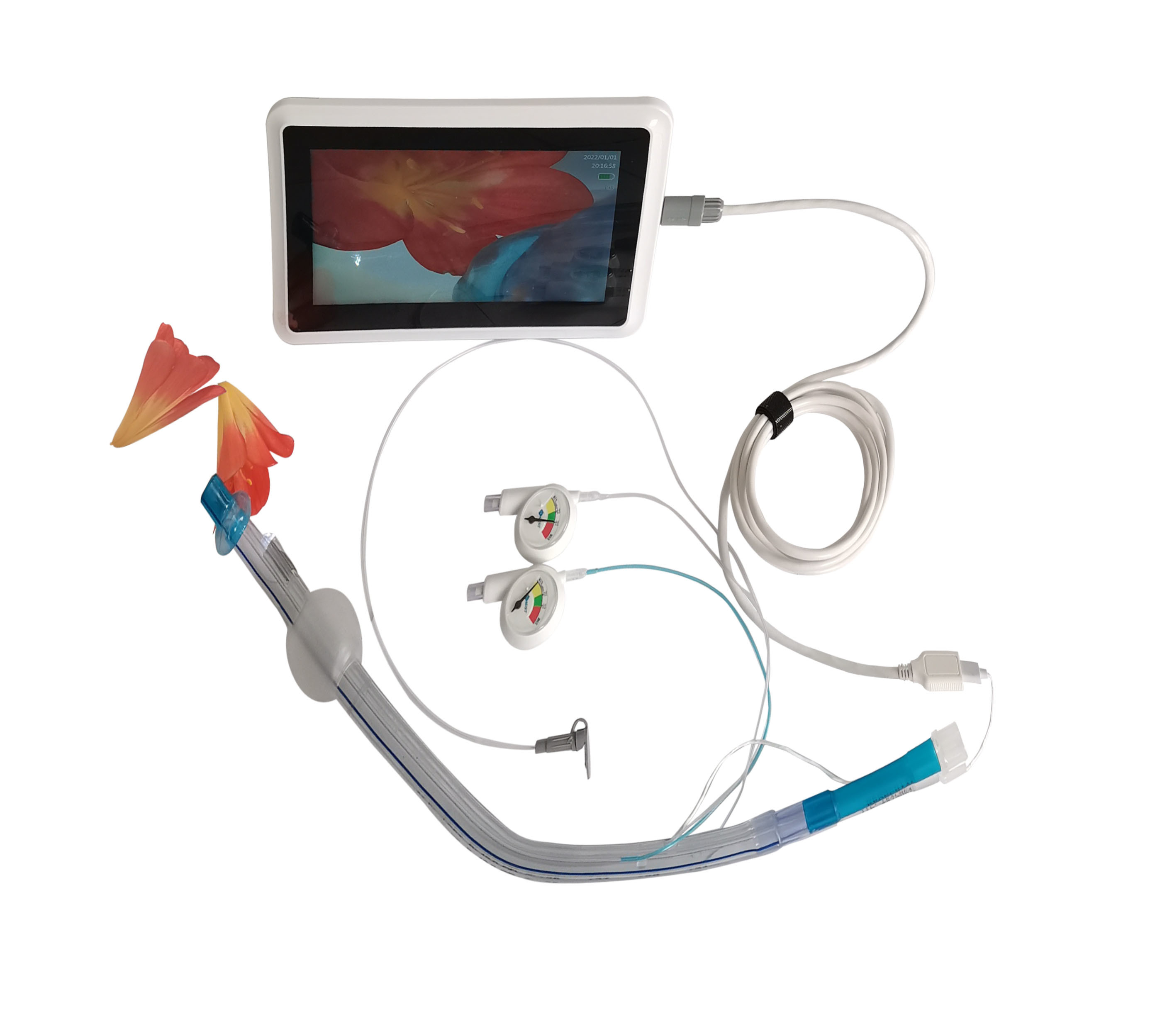 Video Double-lumen Endobronchial Tube with Intracuff pressure monitor ...