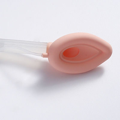 Tracheal Cannula Laryngeal Tube Airway LMA Endocrinology